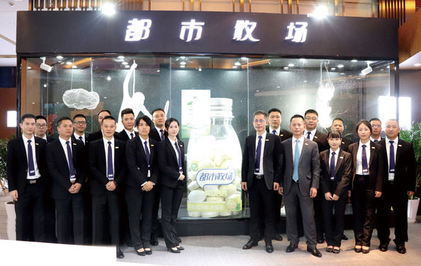 Quality Healthy Hard Candy & Sugar Free Mint Candy factory from China