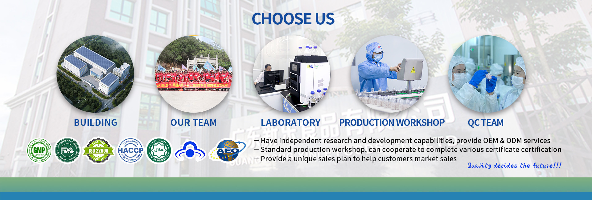 Quality Healthy Hard Candy & Sugar Free Mint Candy factory from China