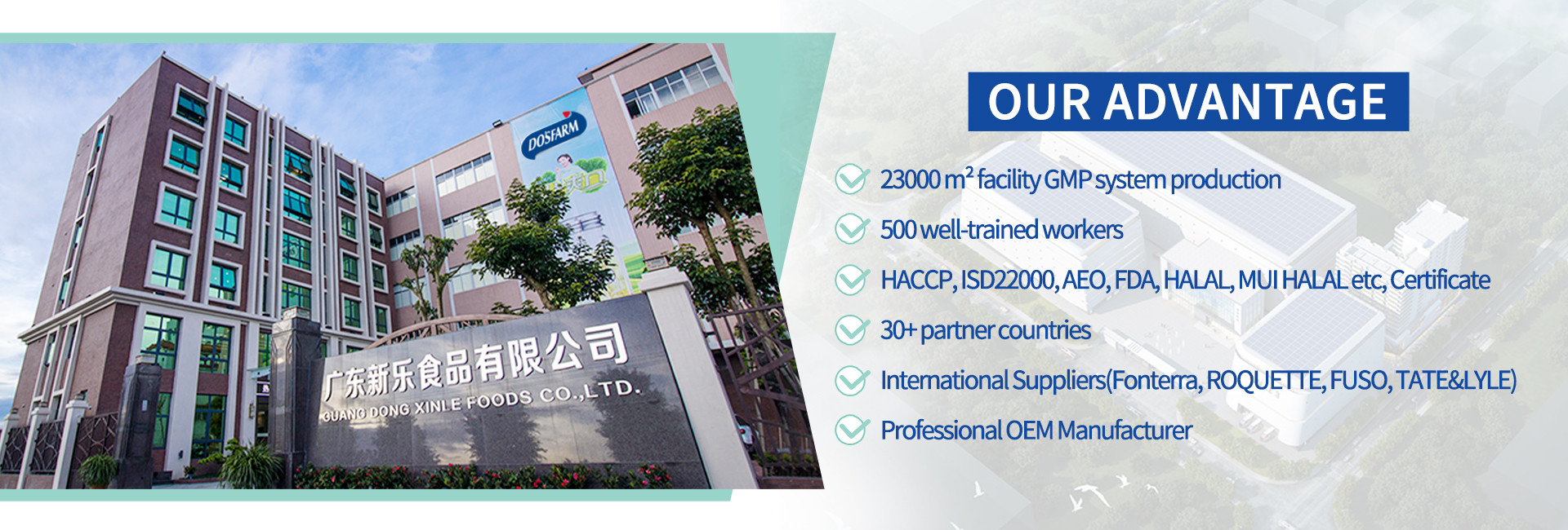 Quality Healthy Hard Candy & Sugar Free Mint Candy factory from China