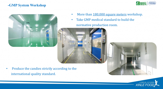 China Guangdong Xinle Foods Co.,Ltd. factory production line