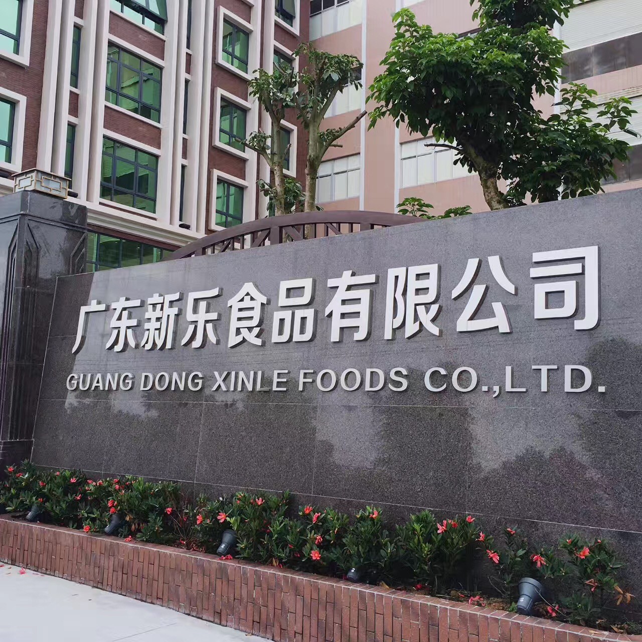 Best Sugar Free Mint Candy From Guangdong Xinle Foods Co.,Ltd